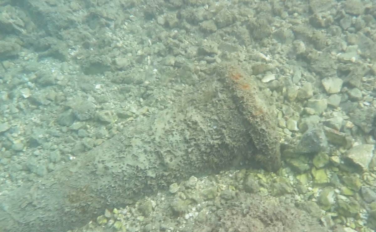 Slučajno otkriće ronioca ispod zadarske rive - Ugledali je tijekom ...