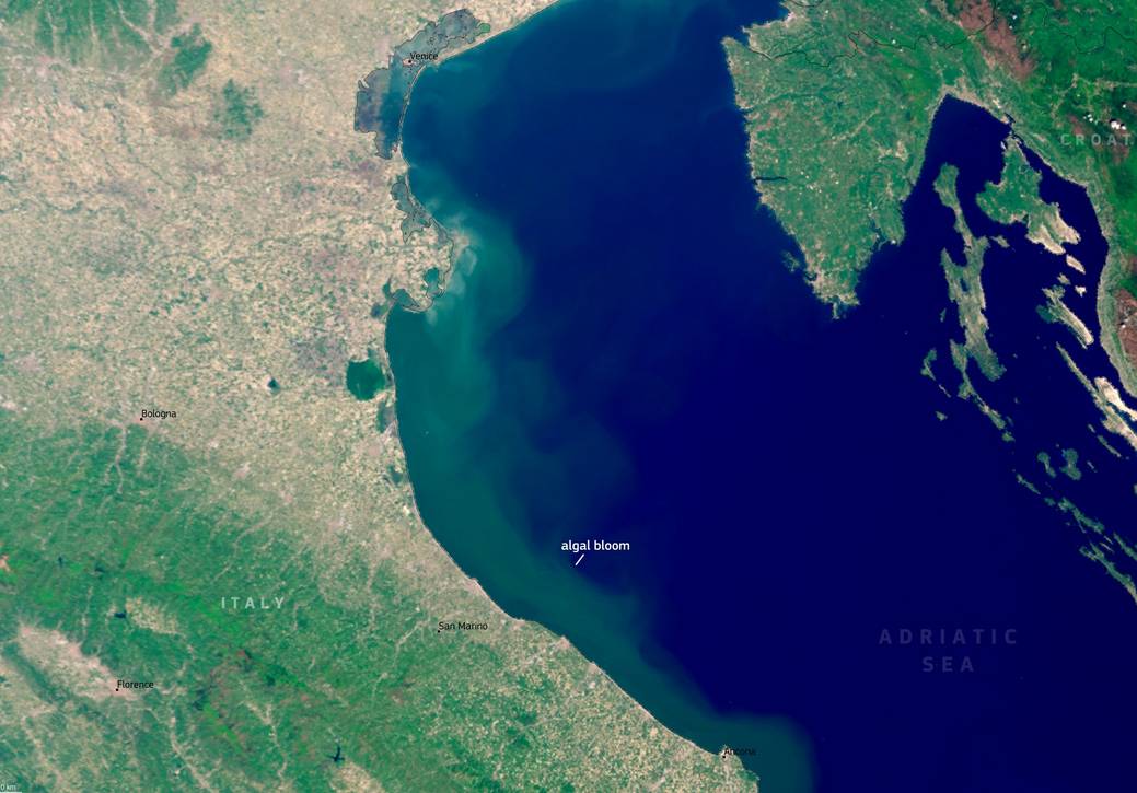 DIVLJE CVJETANJE ALGI U JADRANU Satelitske slike iz svemira otkrivaju ...