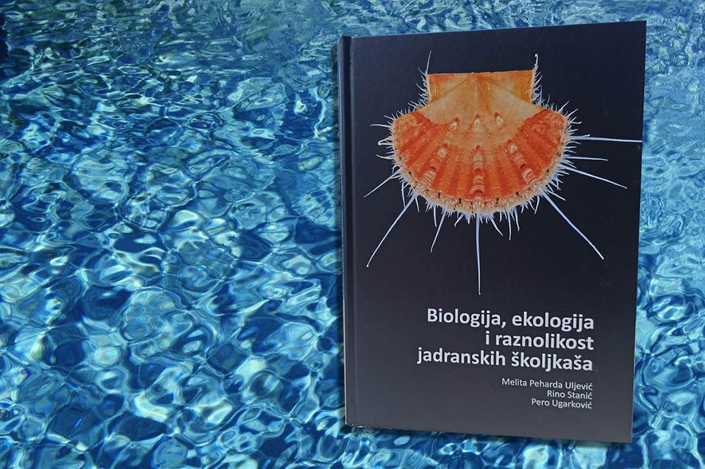 Institut za oceanografiju izdao knjigu o jadranskim školjkašima