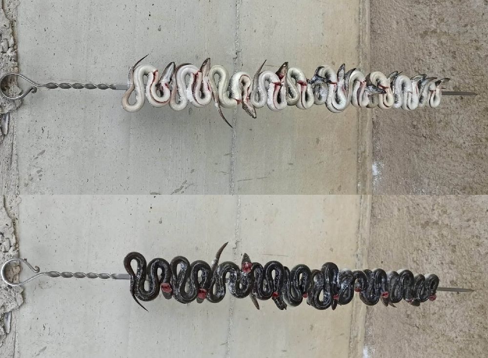 JEDNOSTAVNI DOMAĆI RECEPTI Jegulja na ražnju