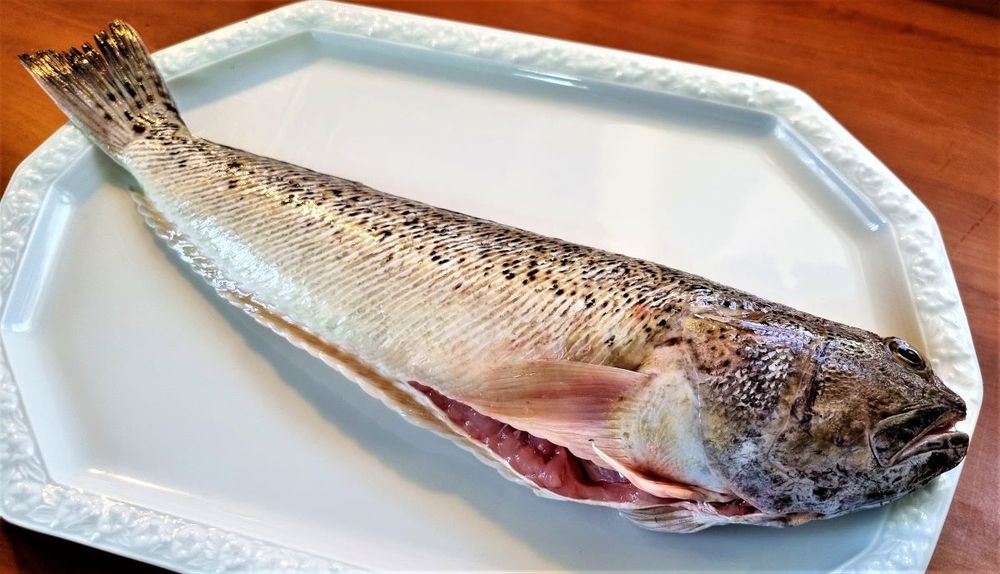 ŽELINA KUŽINA Morski pauk na lešo