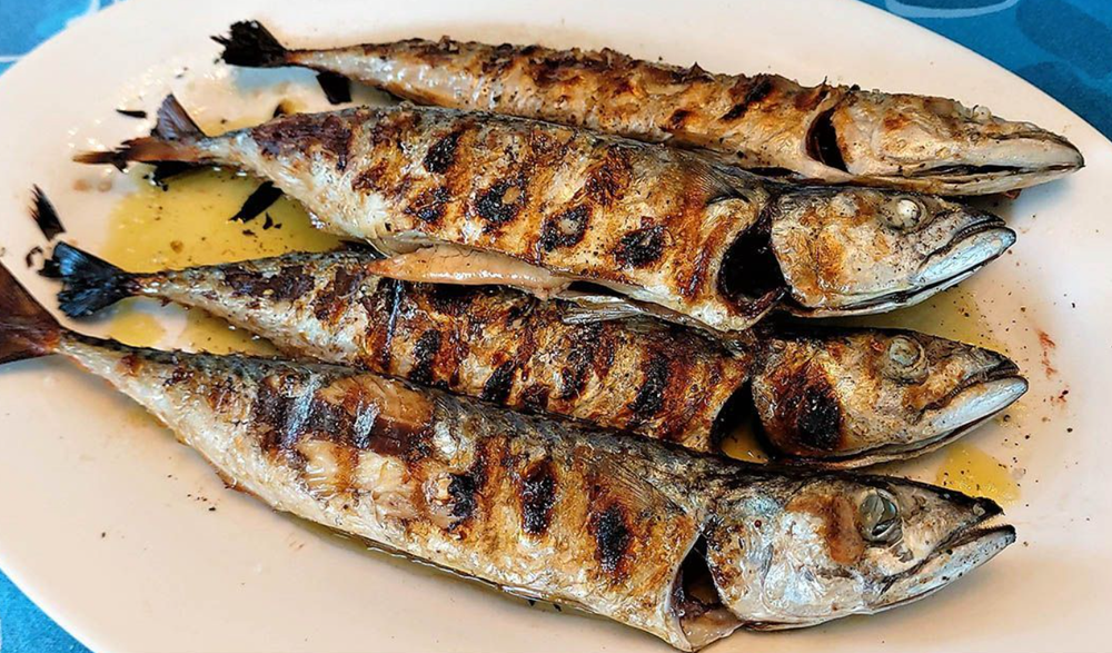 Skuša - najzdravija riba na svijetu?