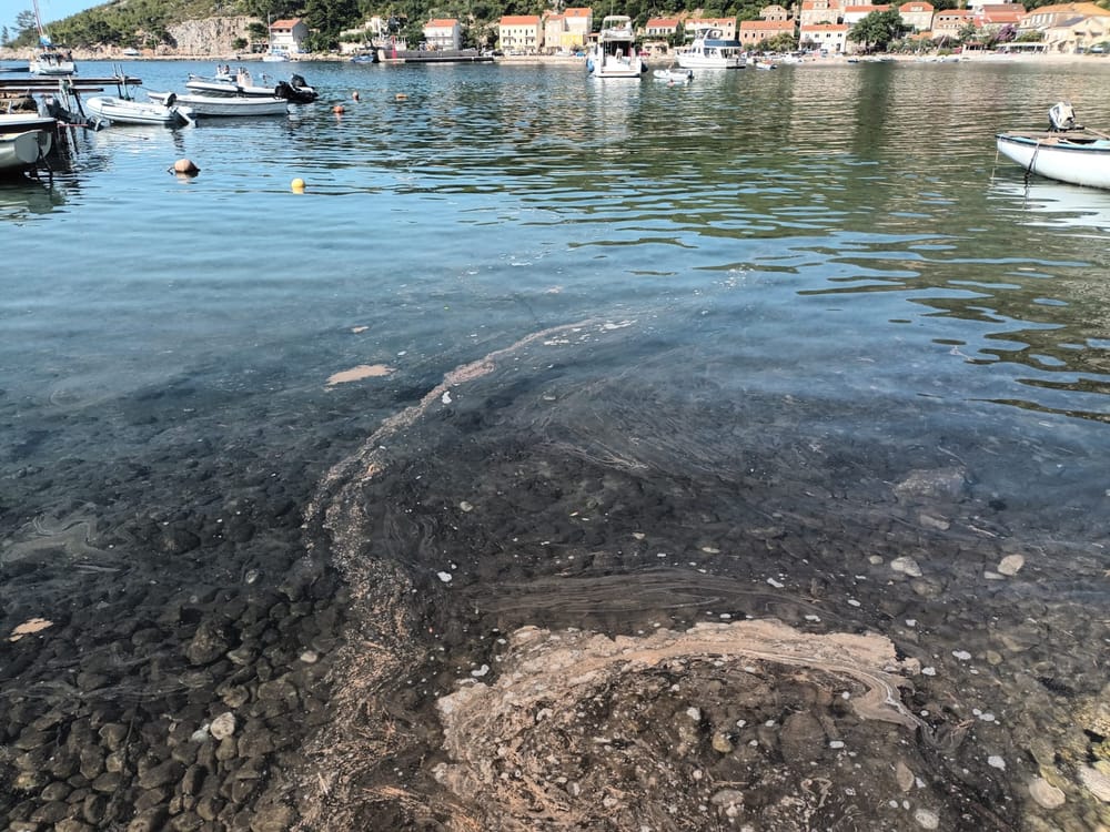 Građani ljuti: "Austrijska jahta ispušta drek na plažu i još nam mašu..."