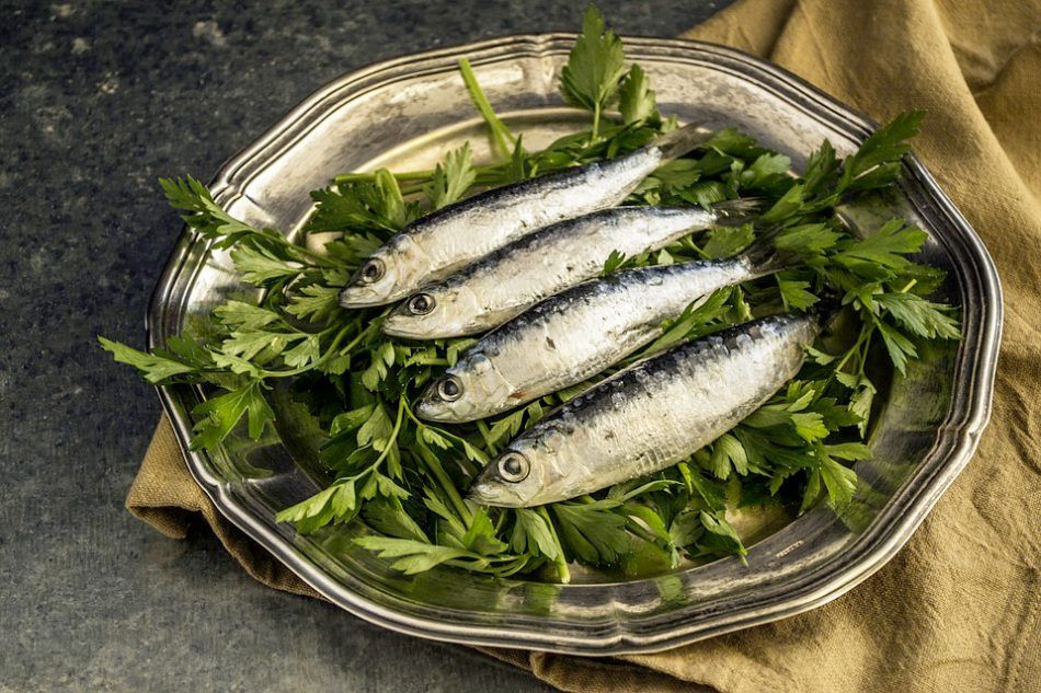 SRDELA – 7 plus još koji razlog zašto od sve ribe izabrati najjeftiniju ...