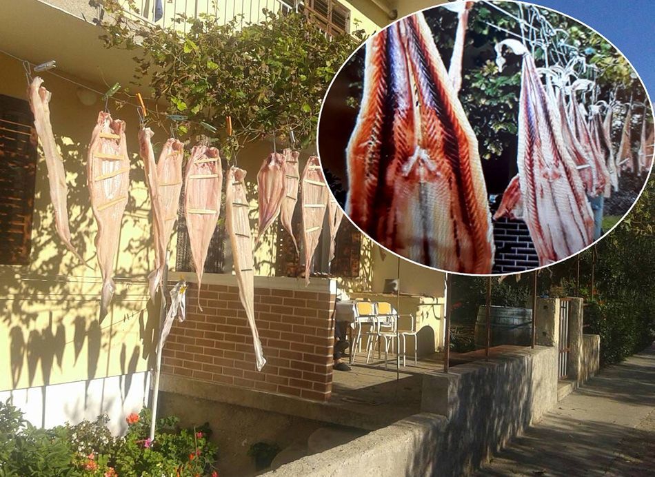 KAKO SE SUŠI RIBA? Sušeni morski pas – Otkrivamo starinski recept ...