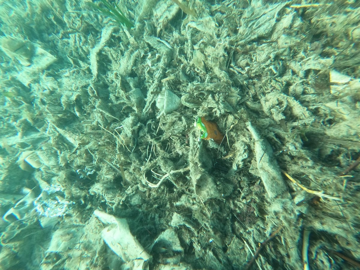 Ovako izgleda podmorje splitske plaže s debelim slojem vlažnih maramica! Ovako izgleda podmorje splitske plaže s debelim slojem vlažnih maramica!