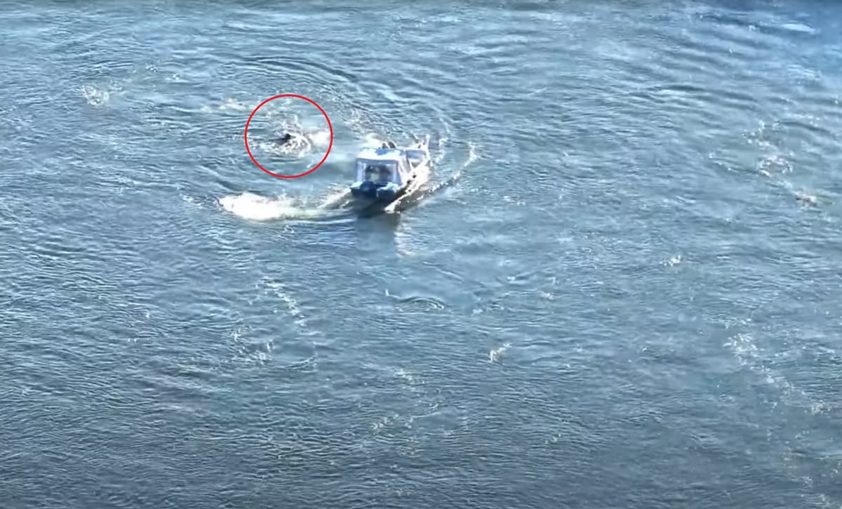 VIDEO Ukrajinac u ronilačkom odijelu pokušao pobjeći, preplivavajući ...