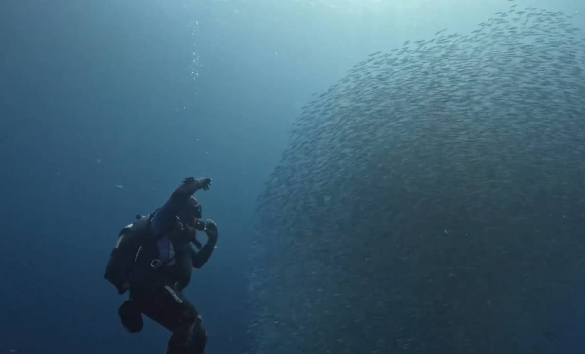 Jato riba koje oduzima dah - "Ovako nešto nisam nikad snimio!"
