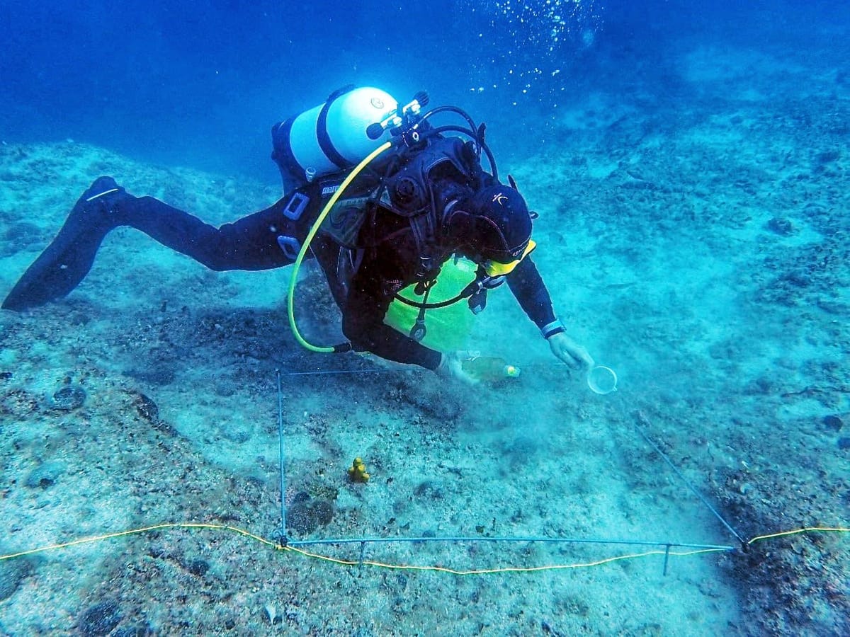 Znanstvenici ispituju u kojoj mjeri obalna gradnja utječe na promjene ...