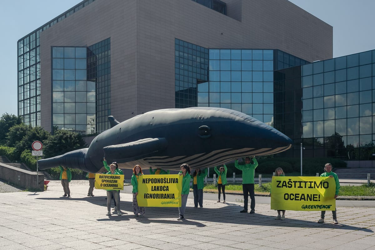 Divovski kit pred NSK-om: Greenpeace traži očitovanje Vlade po pitanju ...