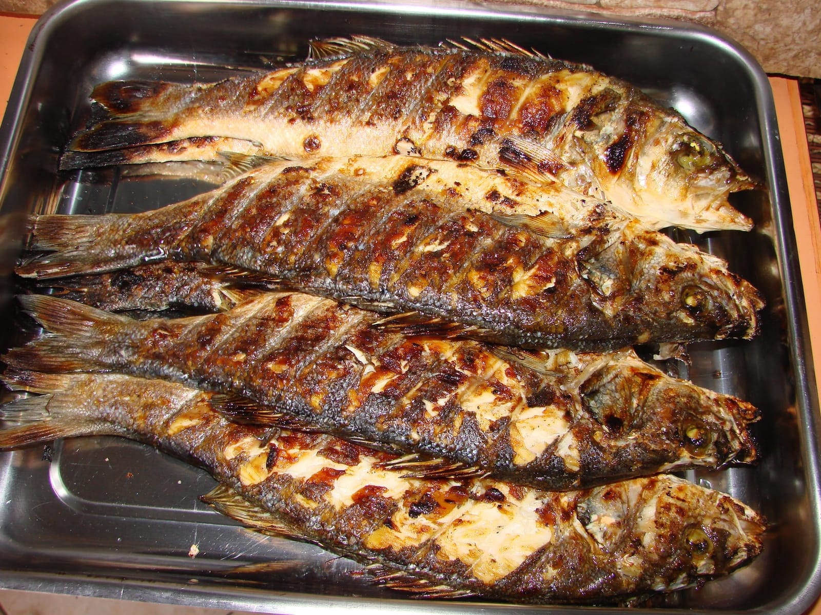 RIBA S GRADELA Tradicionalan recept pripremanja ribe na Jadranu