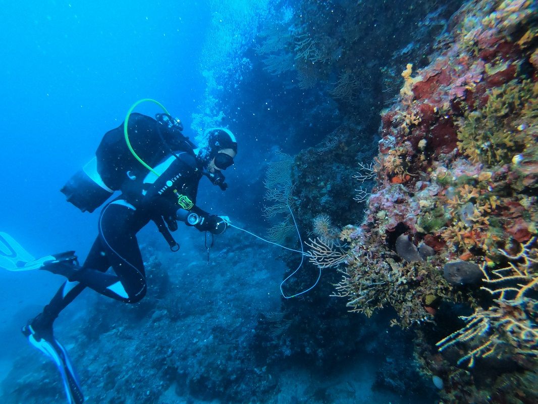VIDEO Endemska staništa Jadrana koja zbog ljudi izumiru | | Morski HR