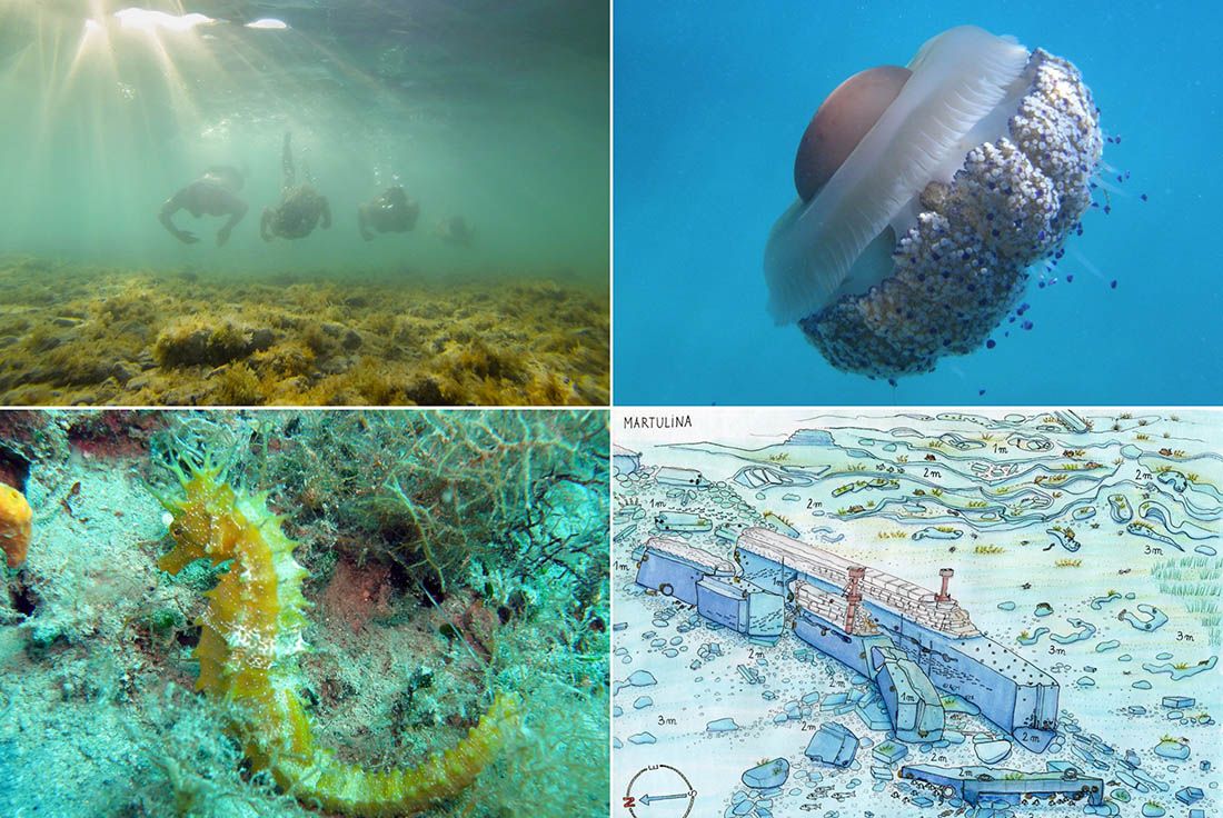 PODMORJE PLAŽE MARTULINA Uzbudljivi snorkeling u Peroju | | Morski HR